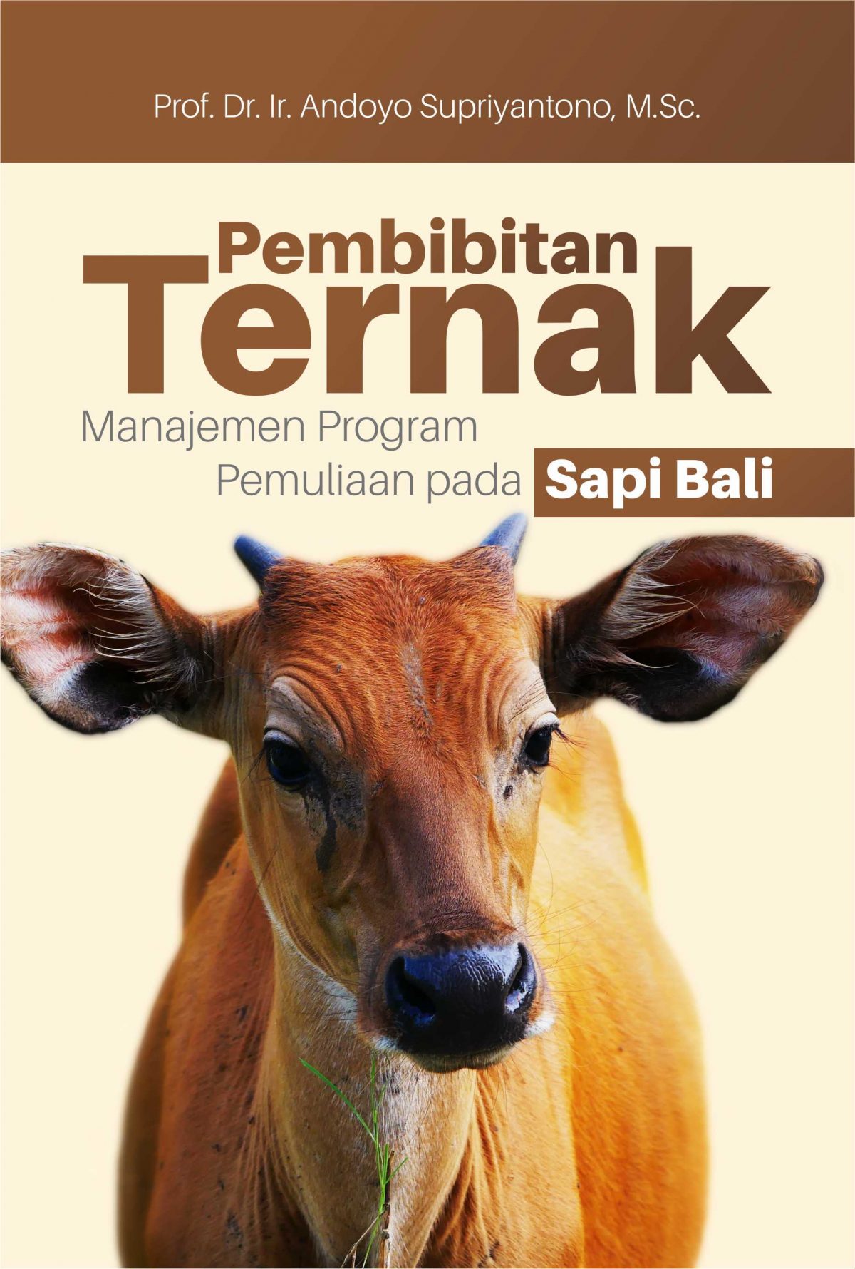 Buku Pembibitan Ternak Manajemen Program Pemuliaan Pada Sapi Bali
